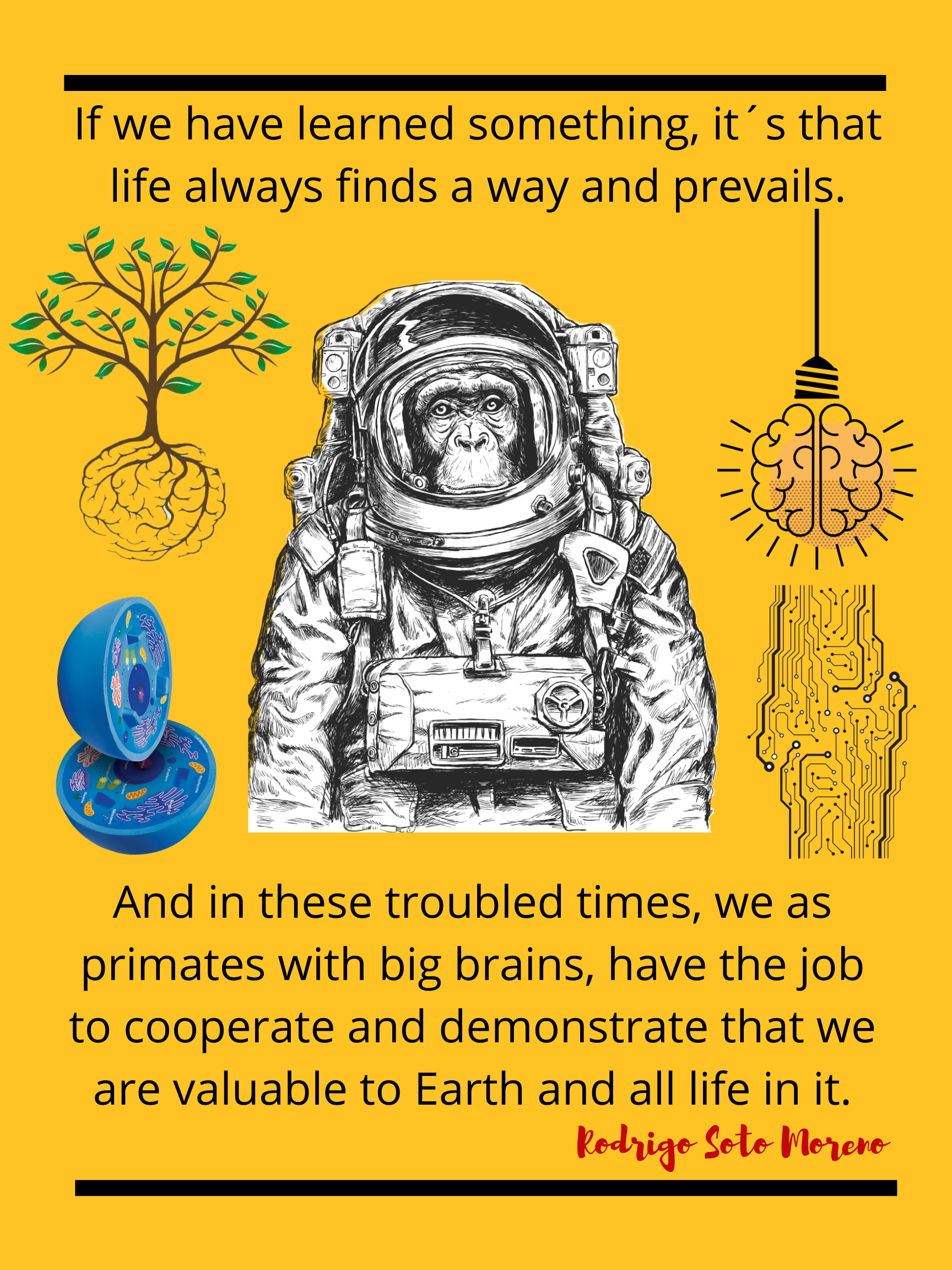 Life Always Finds A Way To Prevail Econom a De Las Ideas life-always-finds-a-way-to-prevail-econom-a-de-las-ideas